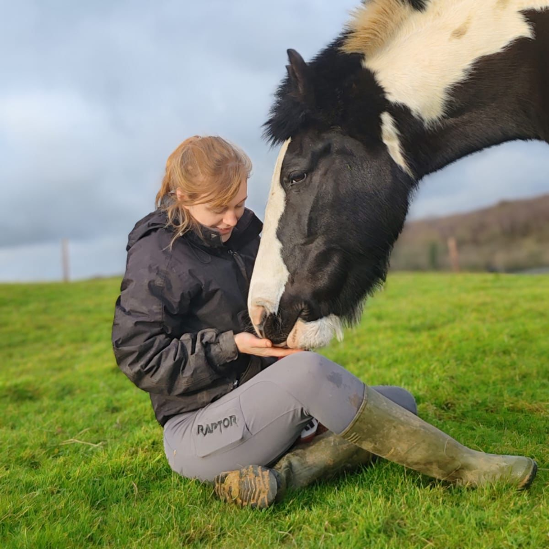 Equestrian Goal Setting – Pushing On Daisy