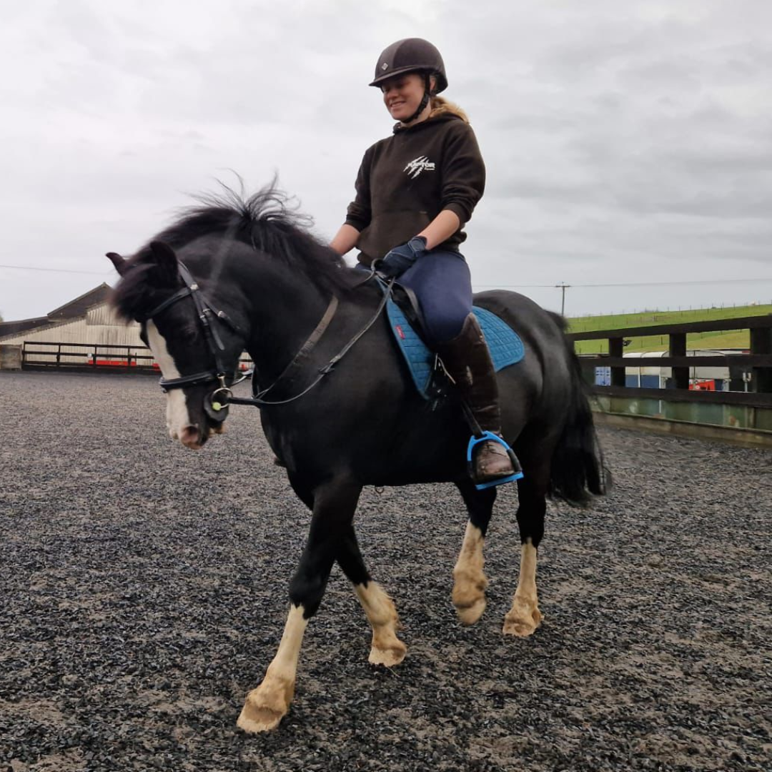 Now Representing Raptor Equine! – Pushing On Daisy